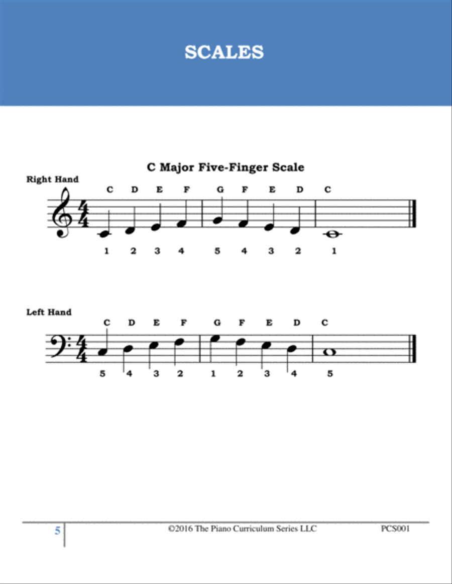 The Piano Lesson Companion Book-Preparatory Level - Piano Method ...
