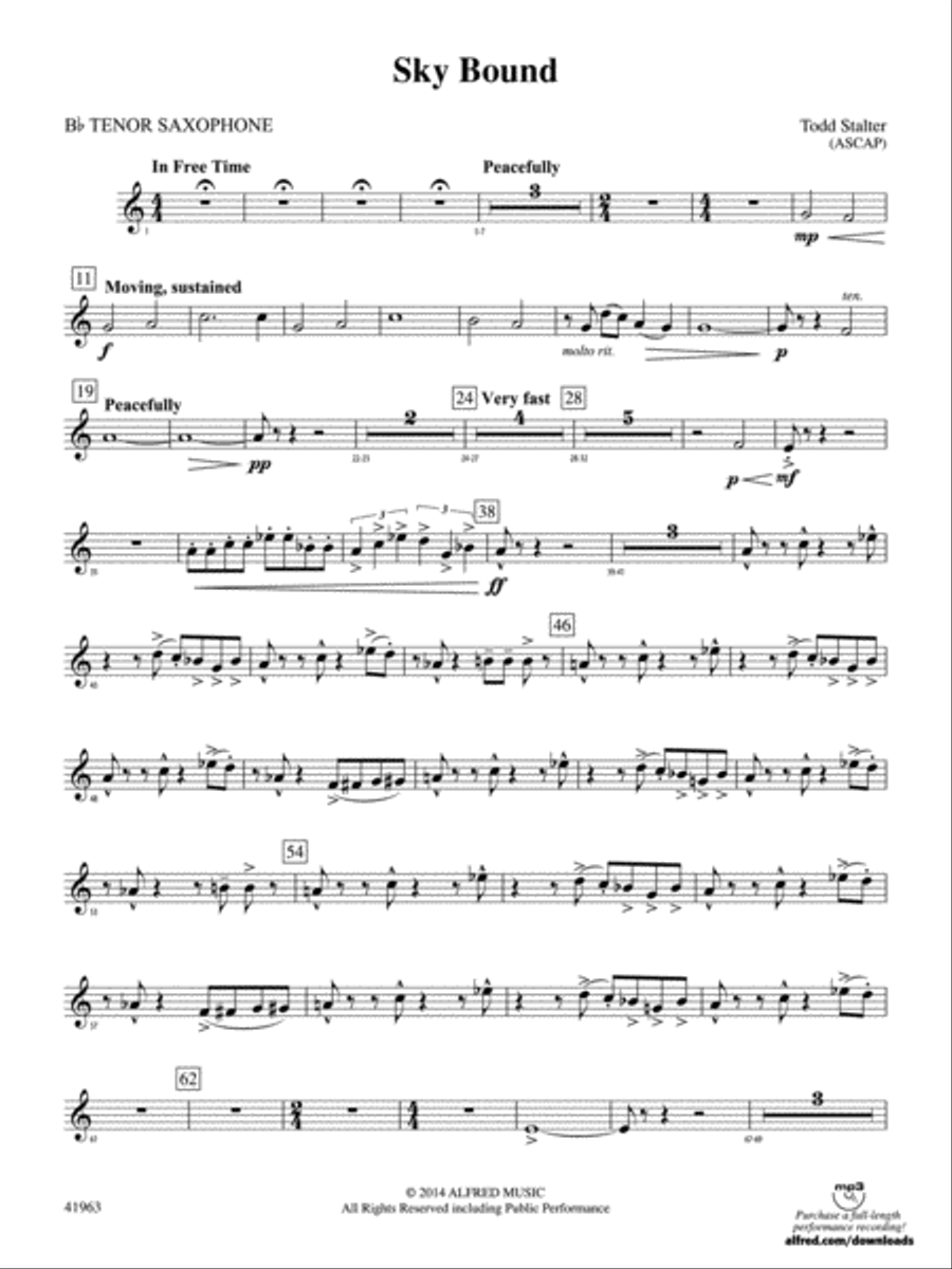 Sky Bound B Flat Tenor Saxophone By Todd Stalter Concert Band