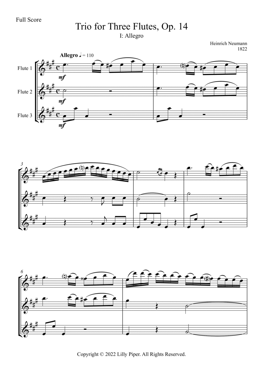 Trio for Three Flutes, Complete Score - Flute Trio - Digital Sheet ...